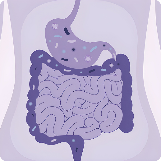 Discover Your Gut Type | Free Gut Health Quiz for Women